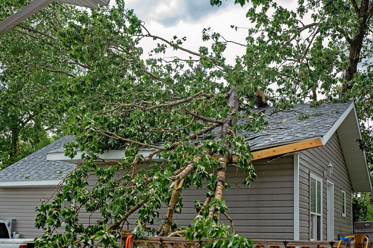 Storm-damaged Roof in Shoreview? Here’s What to Do (... | Owl Roofing