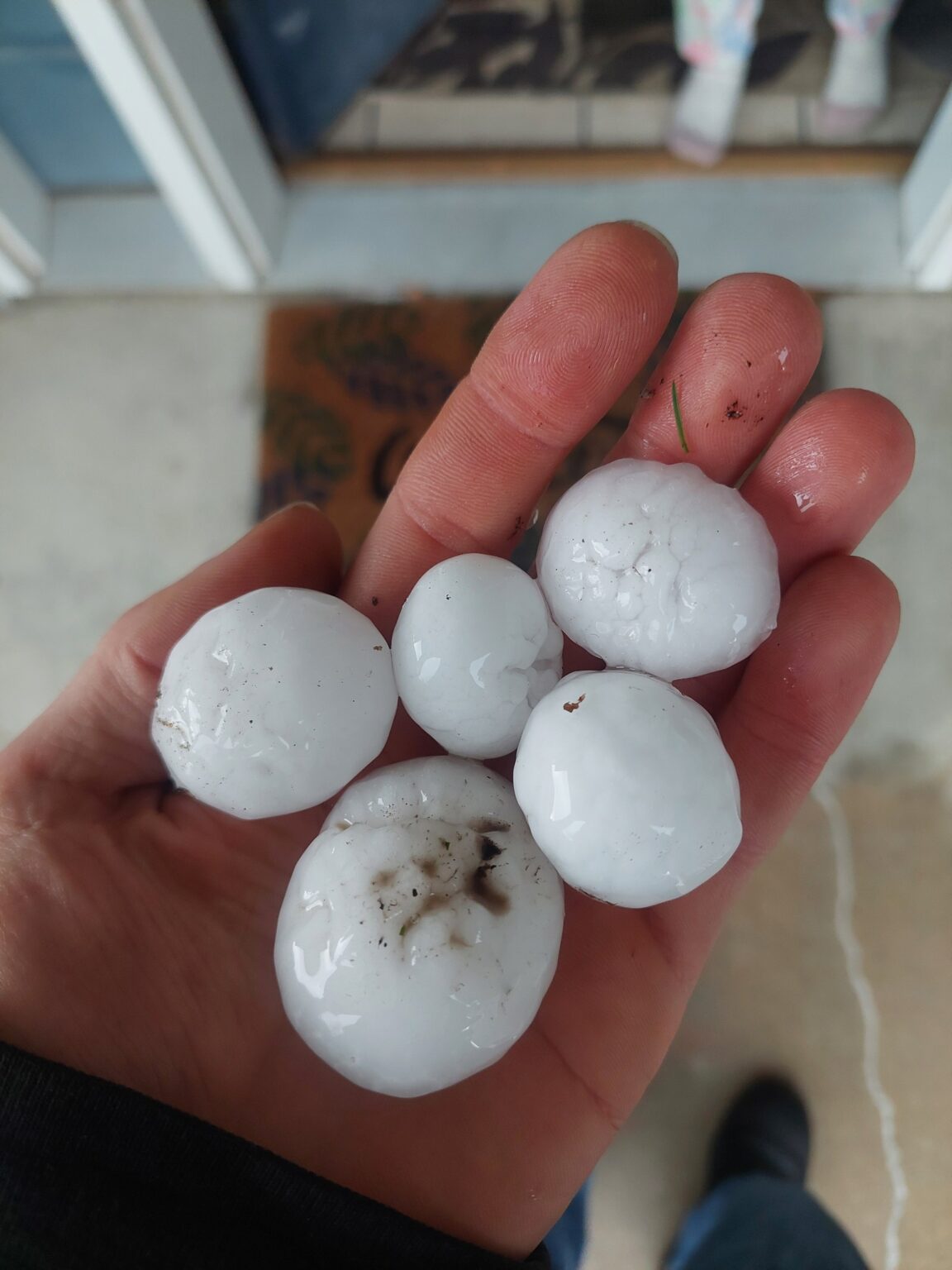 Golf Ball-Sized Hail Hits Faribault, MN (April 13, 2026) What To Do
